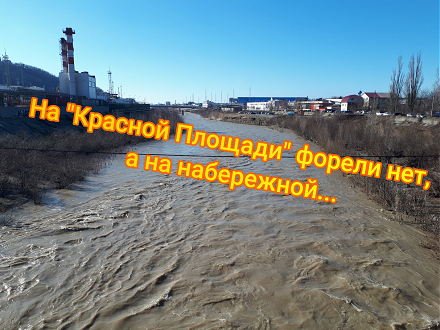 Туапсе 10.02.2022 река, пляж, набережная: форель не везде.