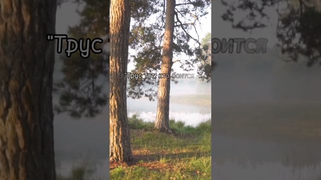 Фёдор Достоевский. Цитаты. Когда коротко и по делу #3