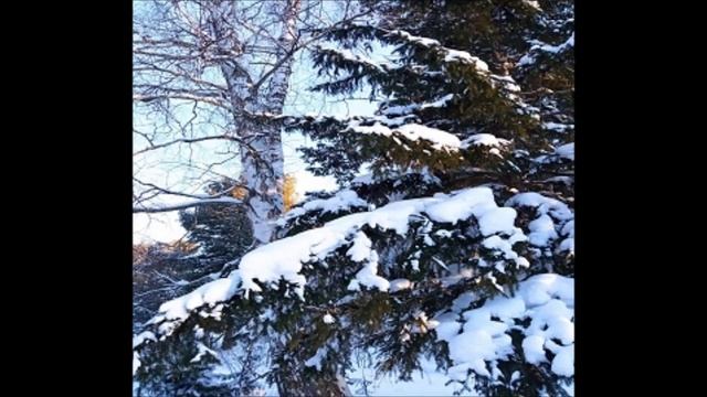 Мы народ единый.