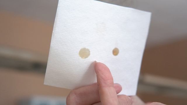 «Просто о сложном»: Проверяем качество меда