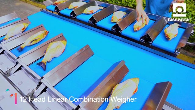 Линейный весовой сортировщик