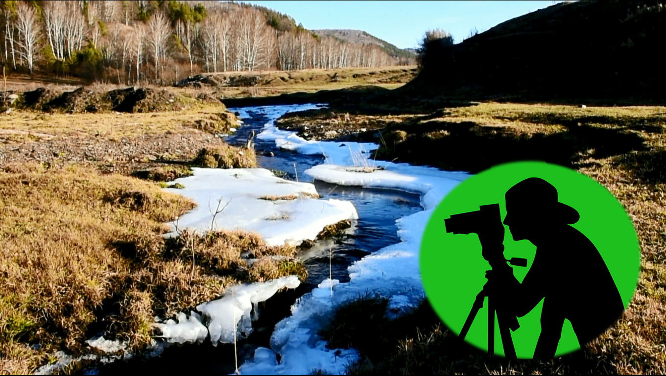 Журчание ручья на лесной поляне / Звуки воды и тихое пение птиц для расслабления и снятия стресса
