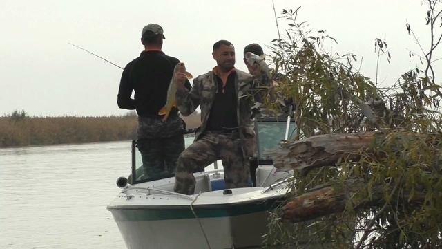 Кино про сазана