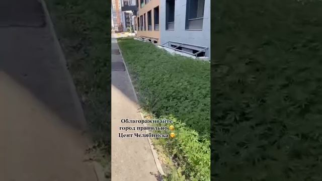 Облагораживайте города правильно!