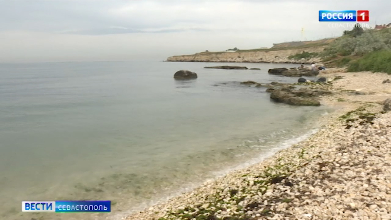 В Севастополе могут благоустроить дикий пляж в Карантинной бухте