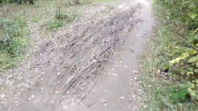 Заехал в лес на ninebot