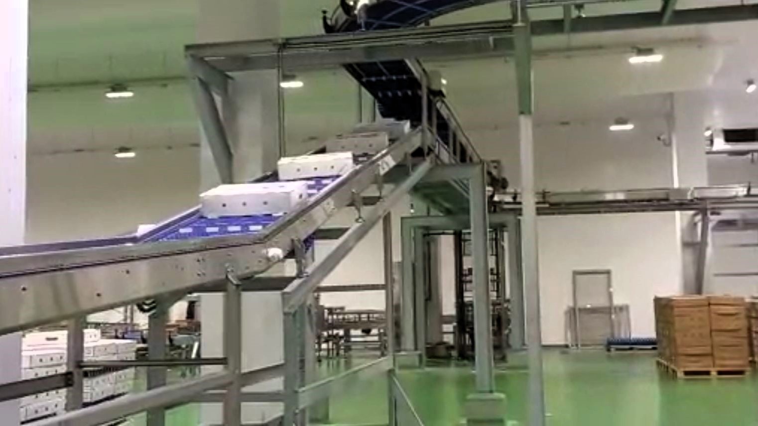 Выход замороженных коробов с мясом из боксфризера