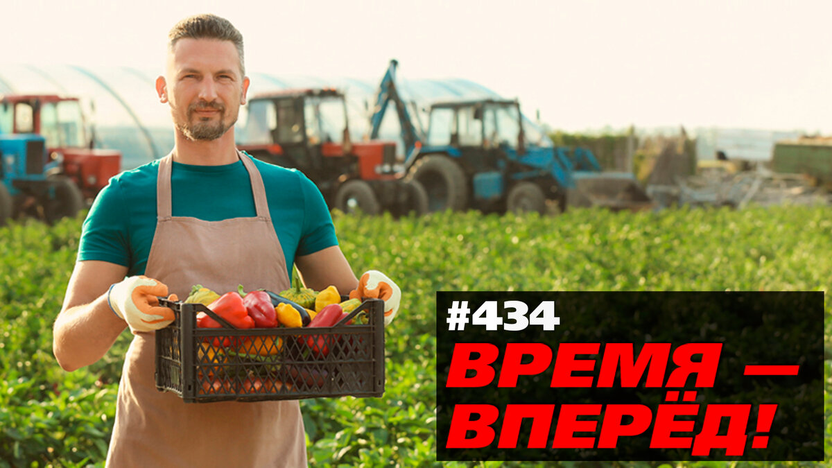 Дождались! Теперь Россия кормит себя сама