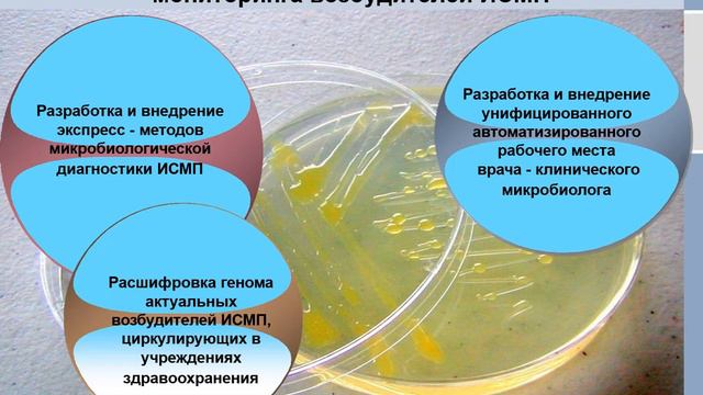 Концепция ИСМП