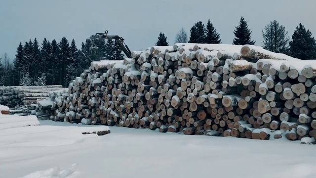 погрузка древесины часть 2.mp4