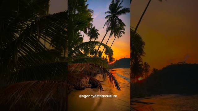 ИНВЕСТИЦИИ В НЕДВИЖИМОСТЬ ТАИЛАНДА🌏🇹🇭#паттайя#пхукет#застройщик#инвестиции#управлениенедвижимость