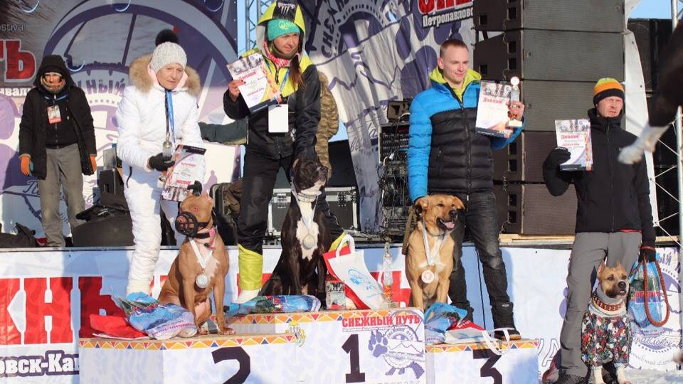 SNOWWAY-2019. Вейтпуллинг на Камчатке 09.03.2019. Прайтер Шикша, максимально взяла 435 кг