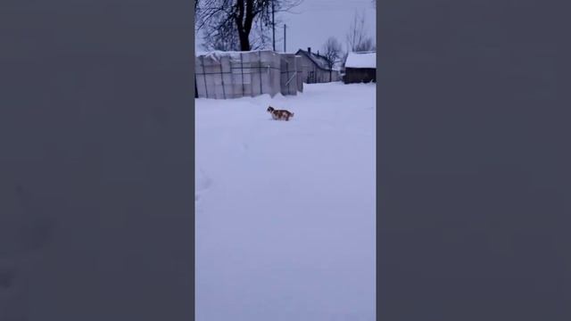 Когда выпал снег, а ты его не ждал.