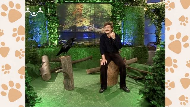 Лапы, крылья и хвосты. 24-й Выпуск. Умные животные