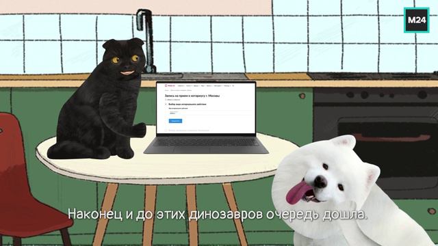 Запись к нотариусу | Кот Бублик