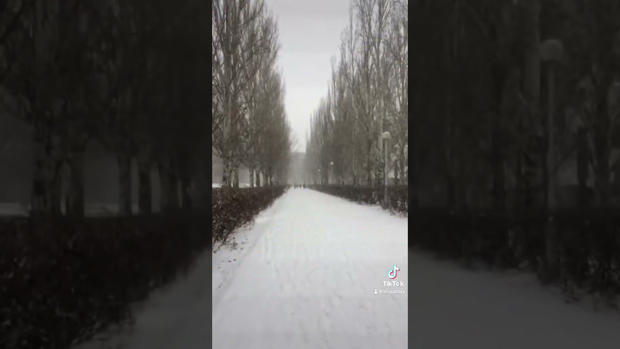 Первый снег❄️