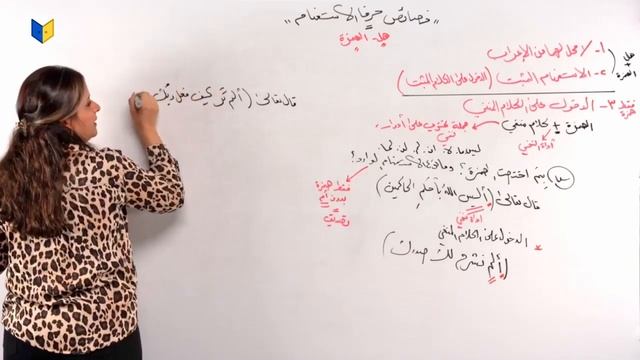 بعض خصائص حرفي الاستفهام م٤
