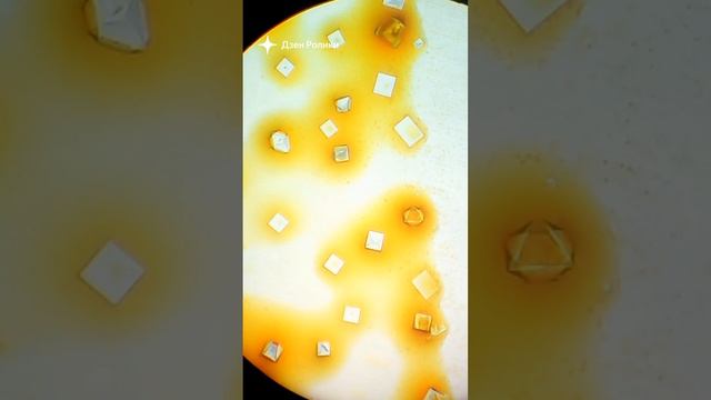 кристаллизация йода.mp4