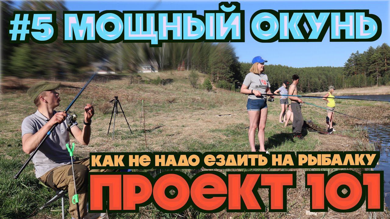 МОЩНЫЙ ОКУНЬ. ТОПОВАЯ ЗАКУСКА НА ШАМПУРАХ. КАК НЕ НАДО ЕЗДИТЬ НА РЫБАЛКУ #5