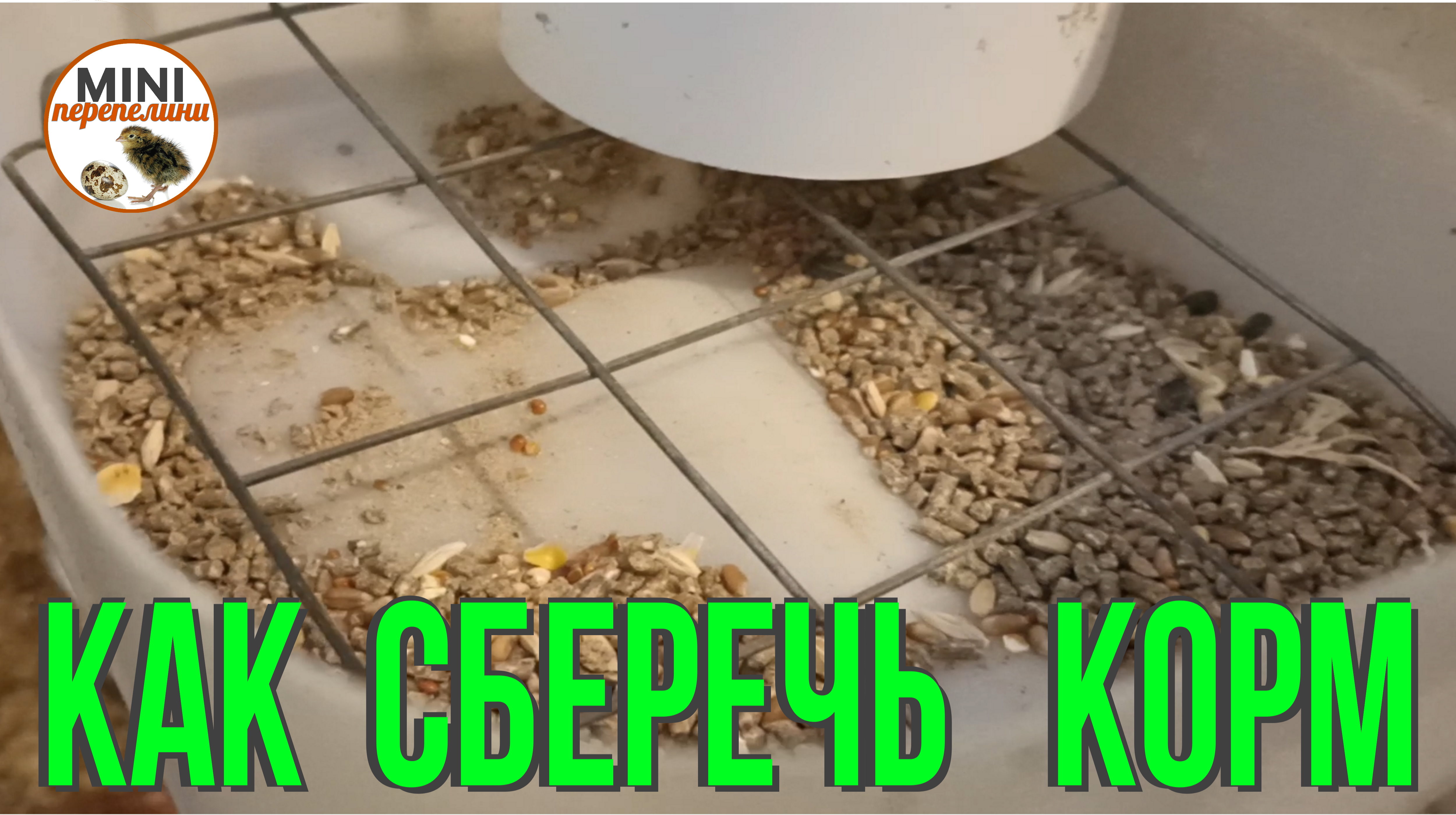 Как сберечь корм в кормушках.
