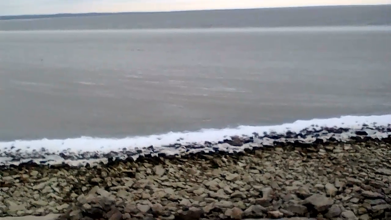 Громадина моря