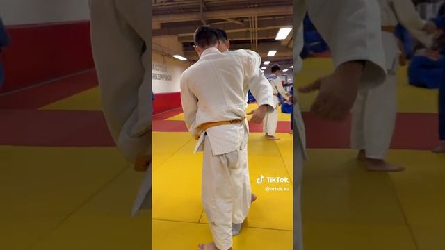 20e9df49b866ed19f68f674d4f64396c