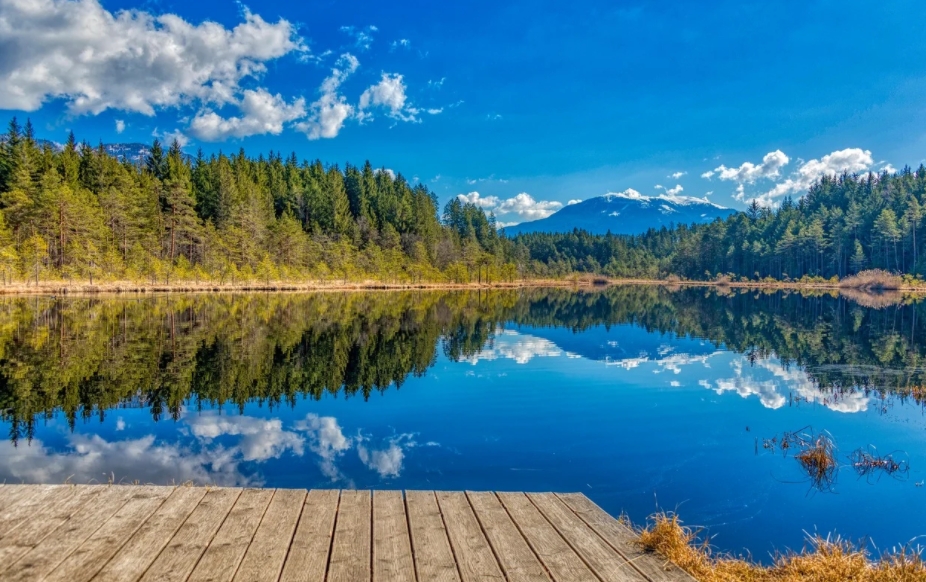 199.Триада на Рыбхозе в РР 3 Bear.mp4