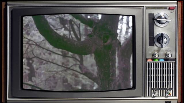 Встрча с Пушкиным