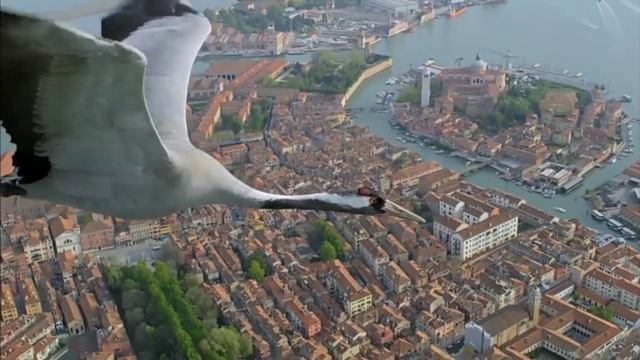 "ЖУРАВЛИНЫЙ КЛИН" --музыка-исполнение : Рустэм Султанов  / текст: Борис Орлов