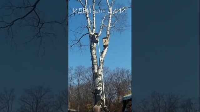 Скворечник, как сделать попроще ☻ #дачныйпартизан