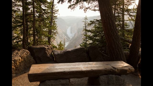 432 Гц 》Исцеляющая музыка природы 》Очищение ауры 》Прилив позитивной энергии