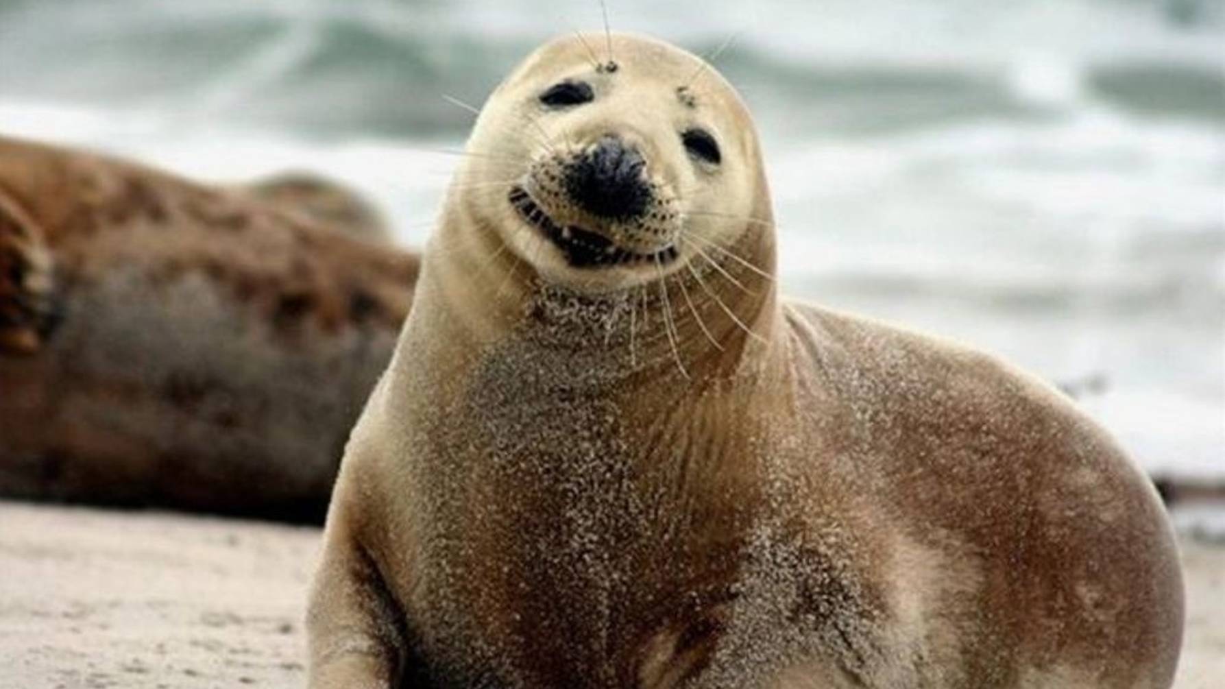 Когда лень идти.