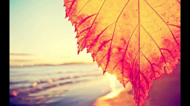 Юрий Кунц - Улыбкой радуги