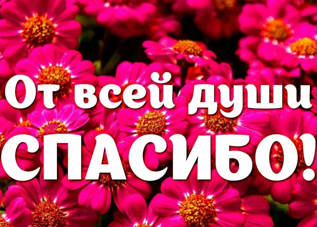 Спасибо, друзья!  Автор текста Ирина Ксон.  Стихи о жизни.