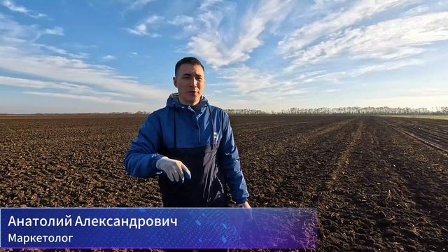 Уплотненная почва не проблема для БДЛ LION!( поле после свеклы )