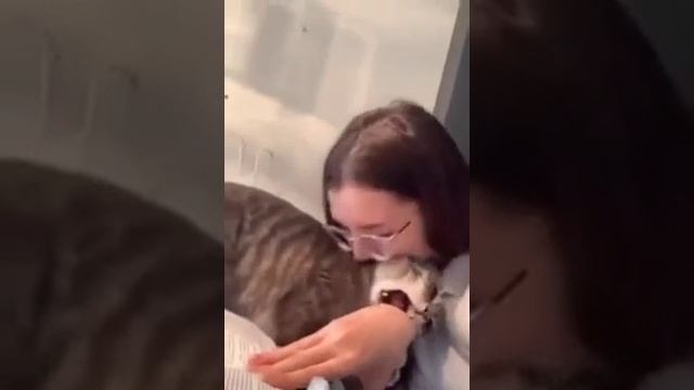 Око за око, кусь за кусь!