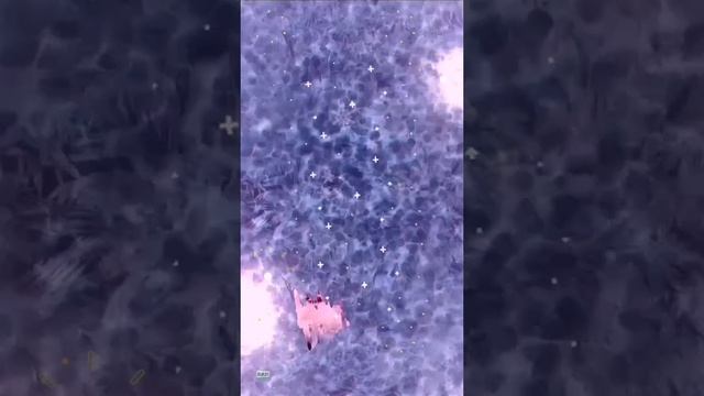 Спокойной ночи