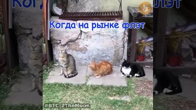 Скукота