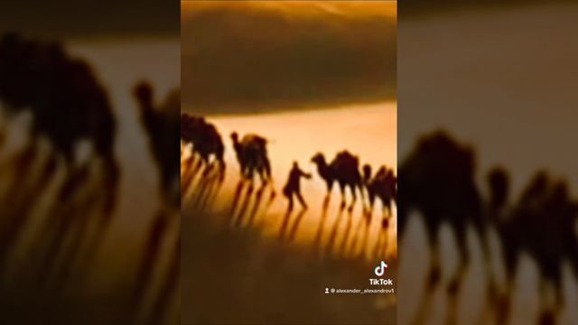 Бесконечный намибийский марш