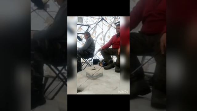 Ловля зубаря (корюшки) на блёсны от Mr. Musurok