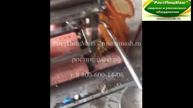 Соковыжималка промышленная CY-0.5 от РостПищМаш