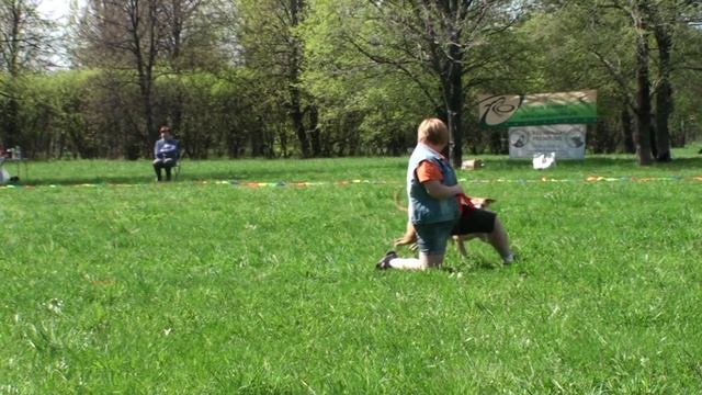 Анастасия и питбуль Одри.mp4