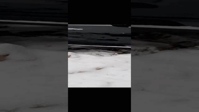 #Необычное#Авто
парковка 80лвл
Ссылка на плейлист в описании к видео