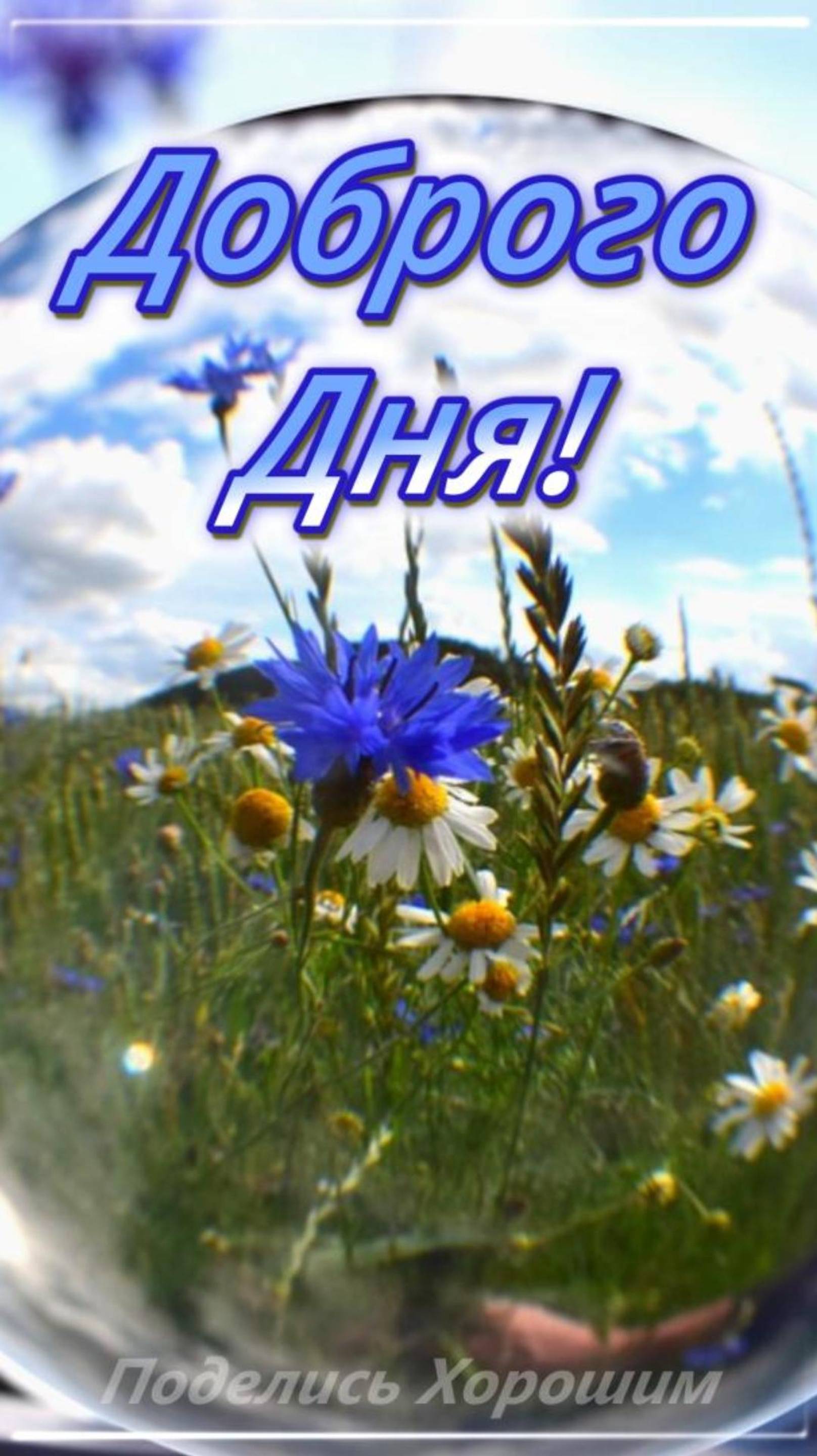 Доброго Дня!