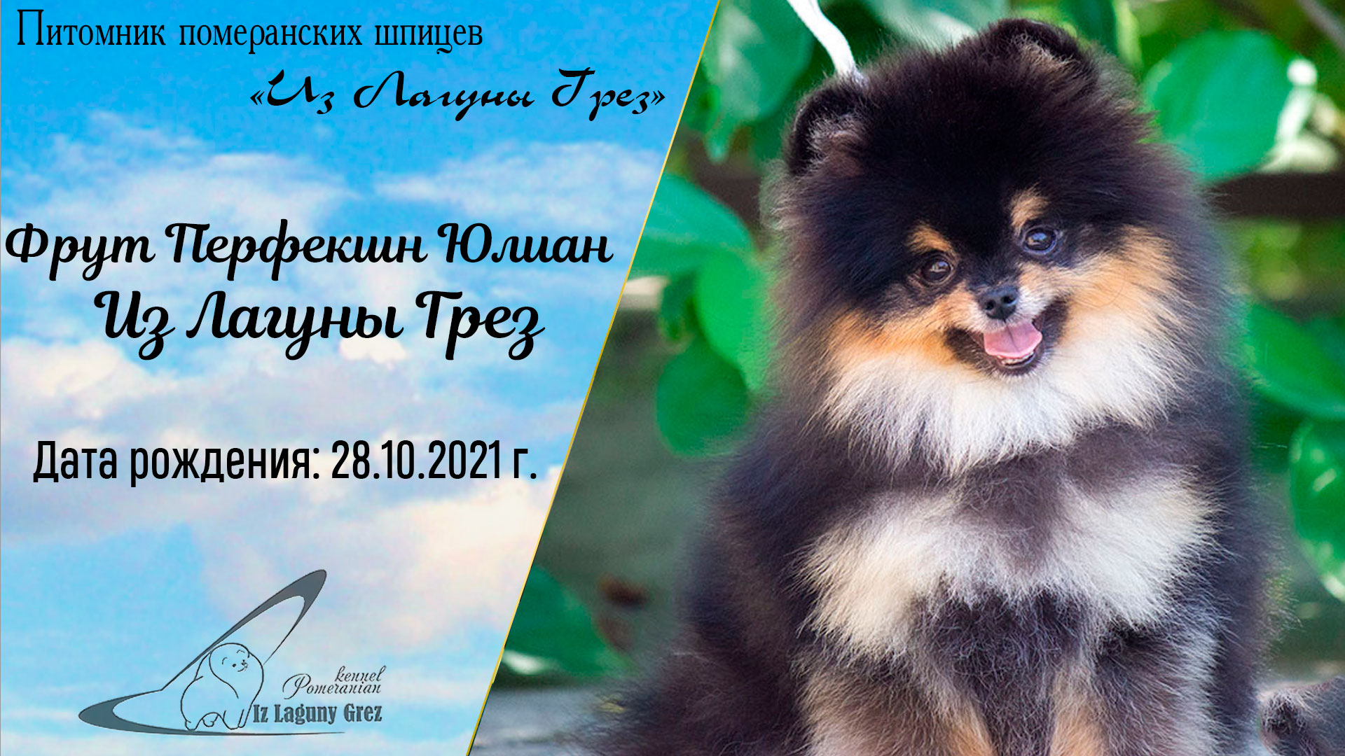 Юлик,он же Жулик, он же Чебурашка.