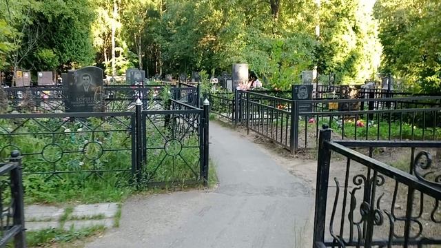 VID_20220810_183543.mp4