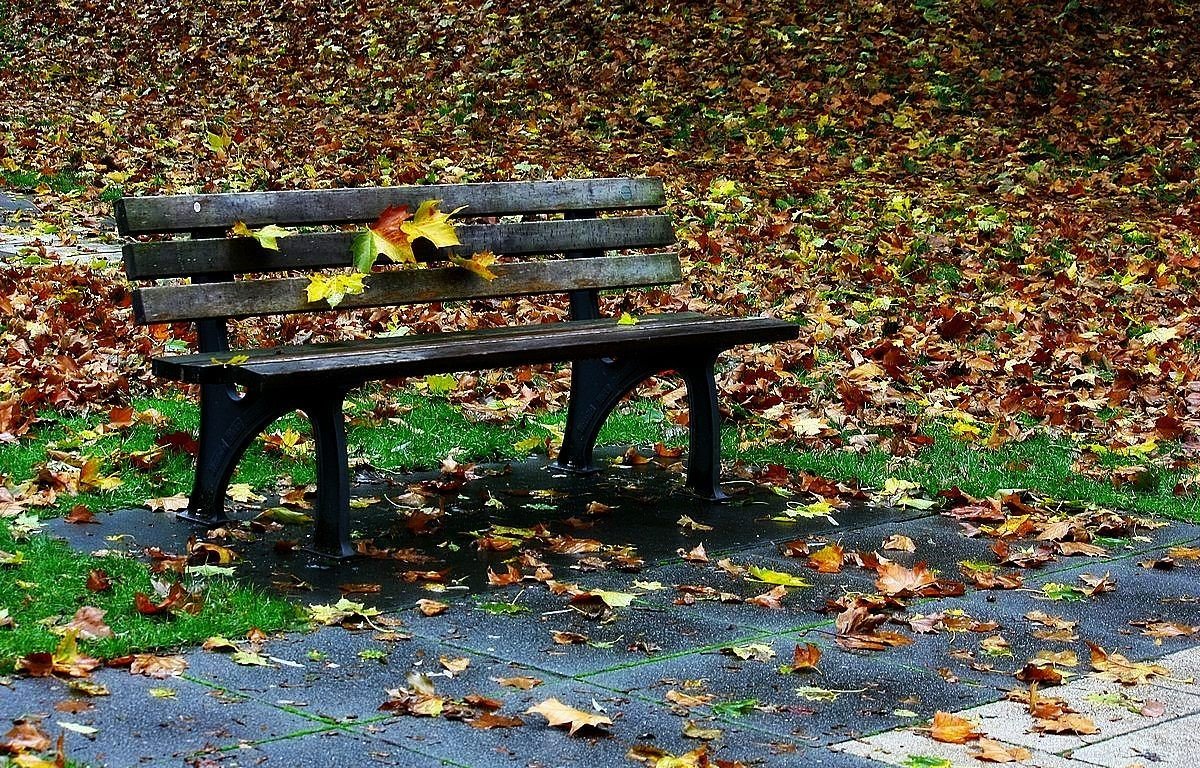 Композитор Константин Листов. «Если любишь — найди» (1940). 8 апреля 2022 г. Поёт Ярослав Годованый