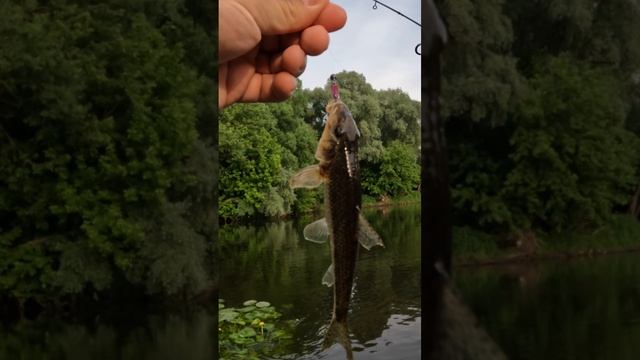 Мой проект (3).mp4