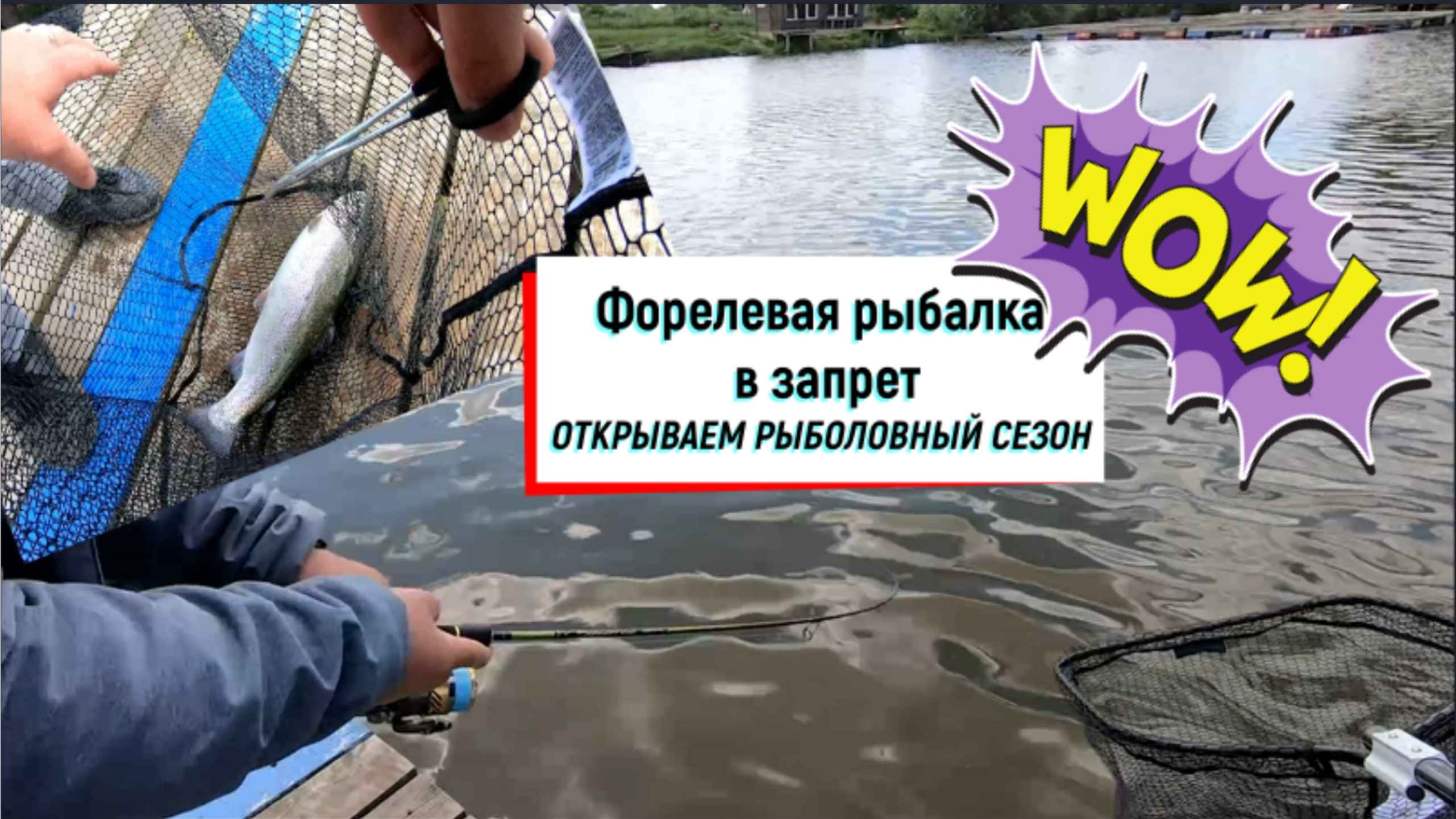 Рыбалка в Подмосковье. Ловля форели на платнике в ЗАПРЕТ.