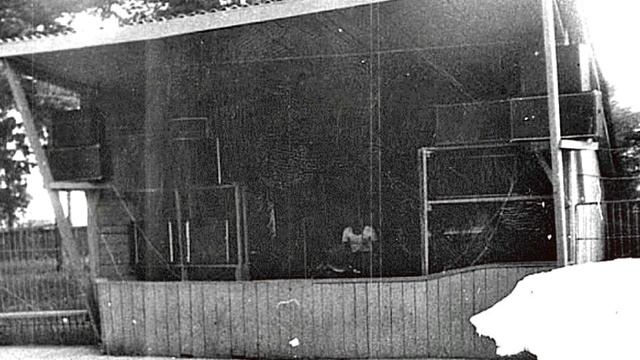 Наша история. Городской сад. Асиновский район.